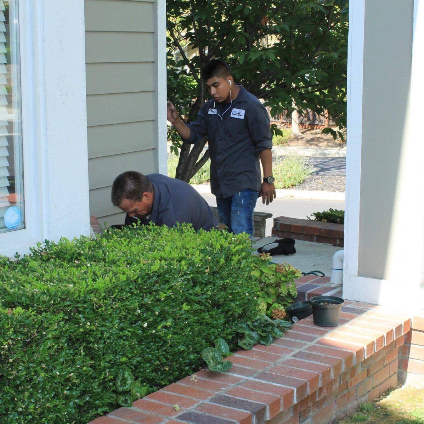 Rodent Inspections | Concord & Redwood City, CA | The Original Rodent ...